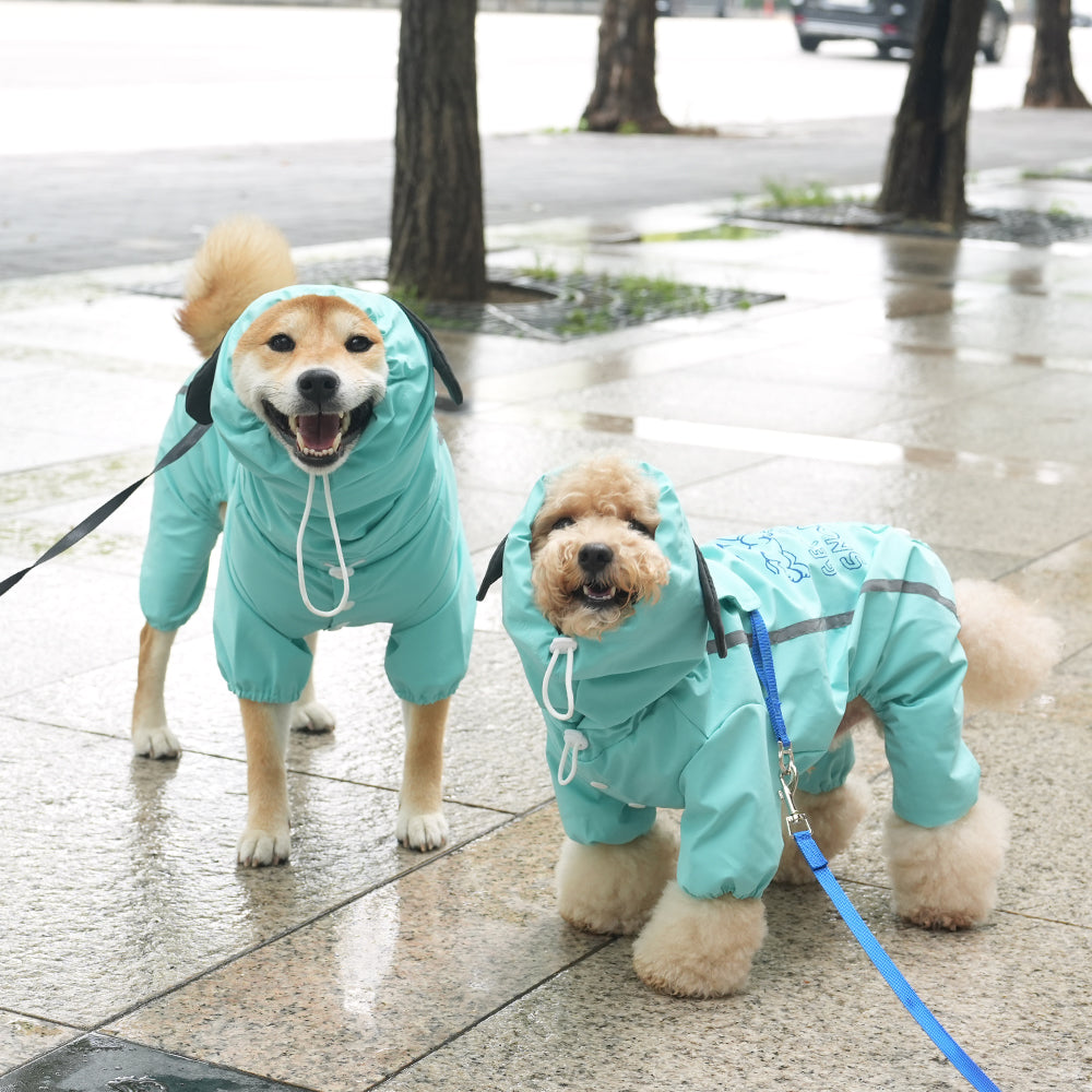 Peanuts Rain Wear – ParisDog PH